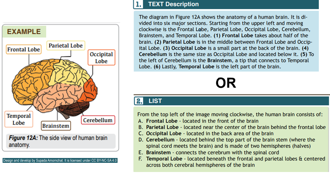 Accessibility – LT&I